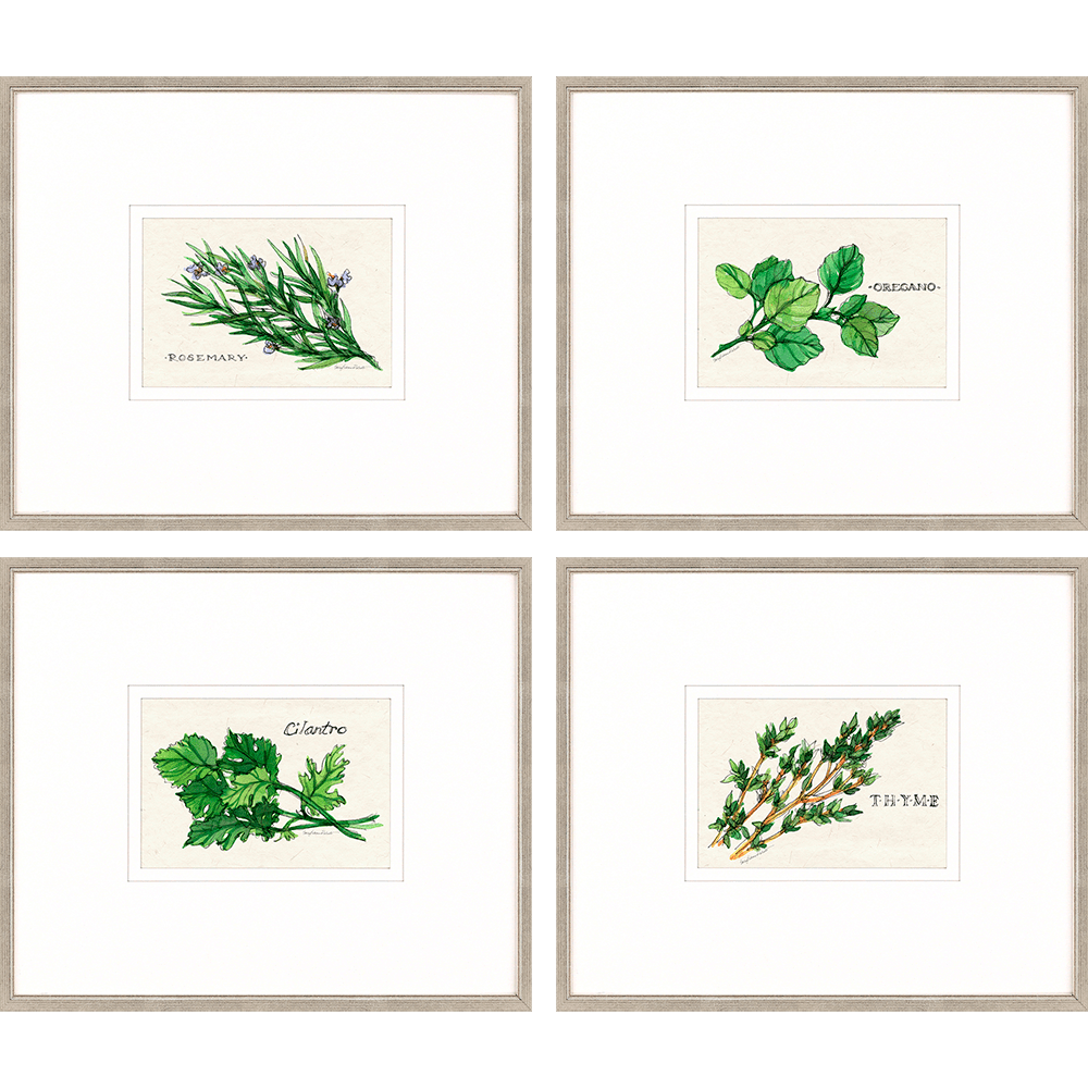 Field Guide Herbs I – Casa Miscellany