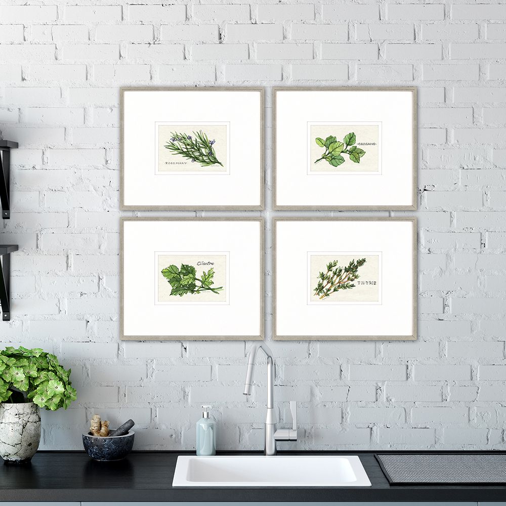 Field Guide Herbs I – Casa Miscellany